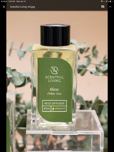 Scentful Living. 85ml Diffuser. Blanc – BC Scent Studio